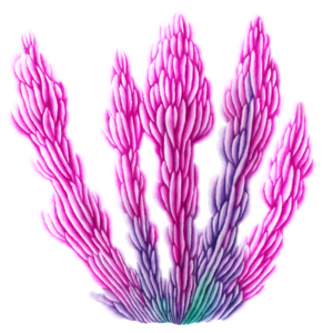 Download Vibrant Pink and Purple Seaweed - Nature Photography PNG ...