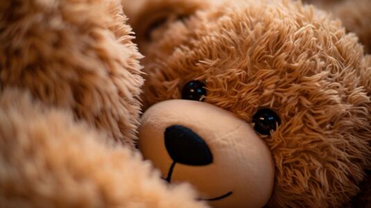 Toh PNG - Download Free & Premium Transparent Toh PNG Images Online ...