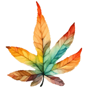 Download Colorful Marijuana Leaf Artwork PNG Online - Creative Fabrica