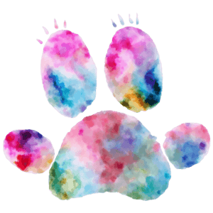 Download Pets Love Watercolor - Colorful Dog Paw Print Art PNG Online ...